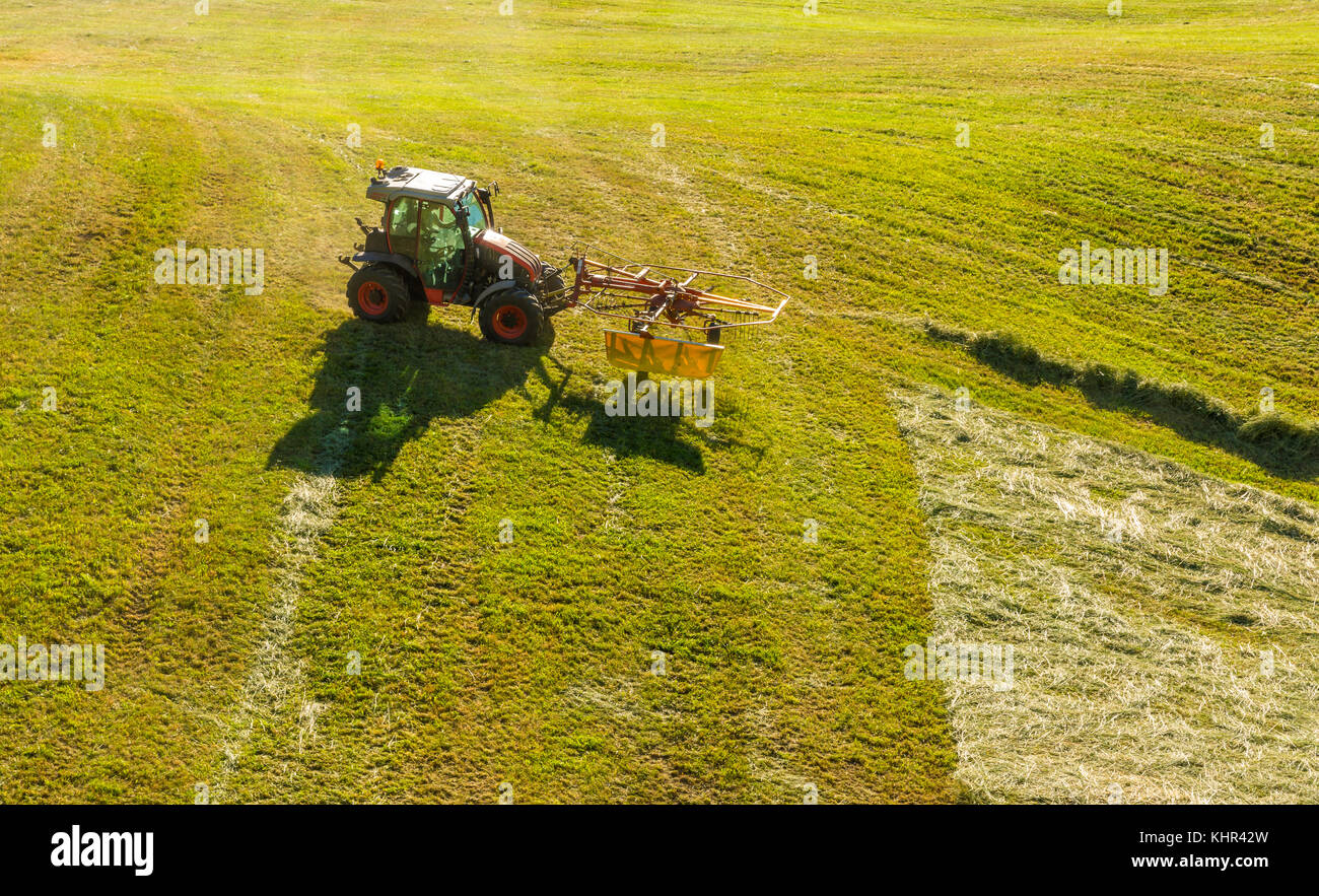 Haymaking on a hillside with rows of hay, a hay tedder and a hay-loader ...