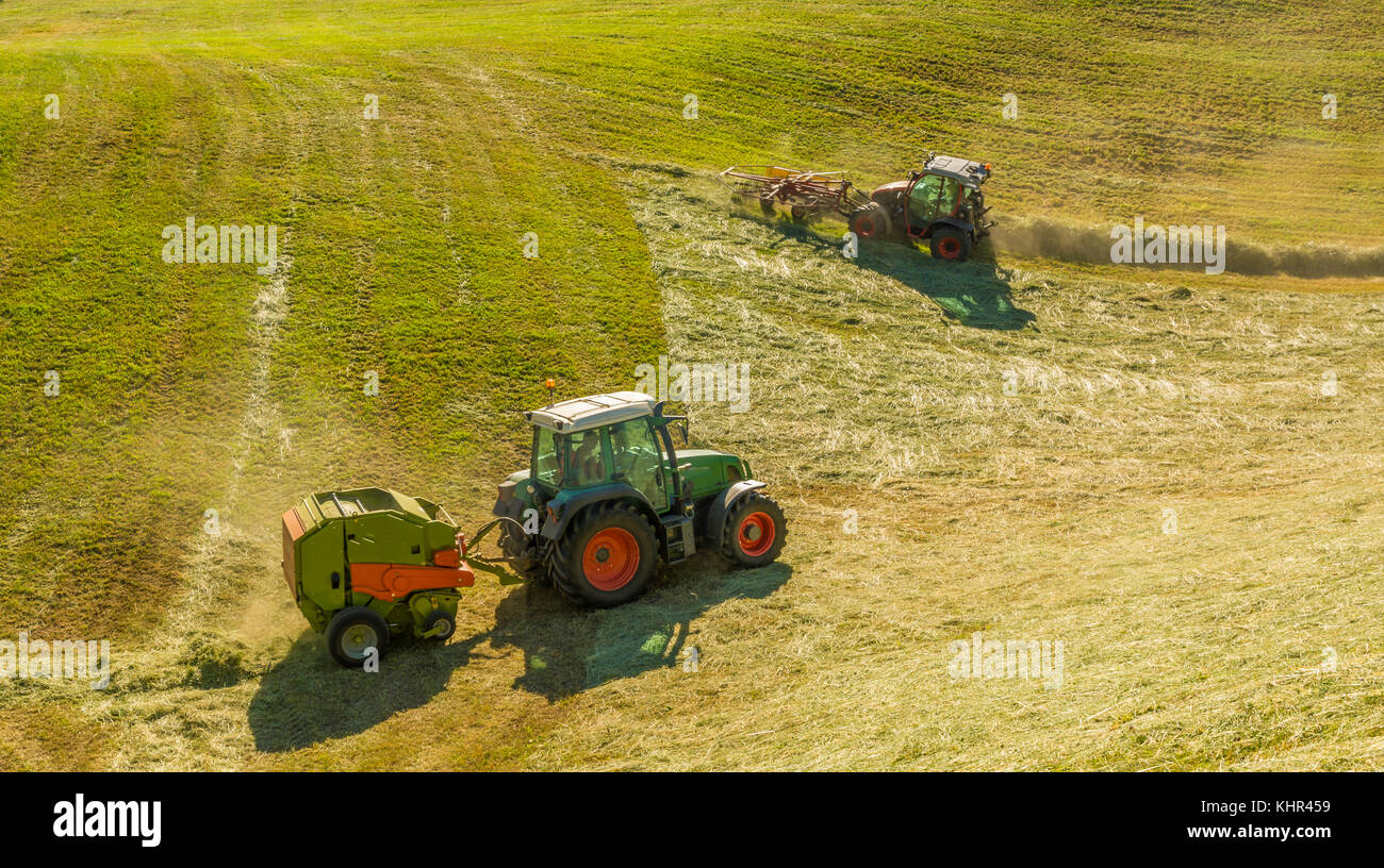 Haymaking on a hillside with rows of hay, a hay tedder and a hay-loader ...