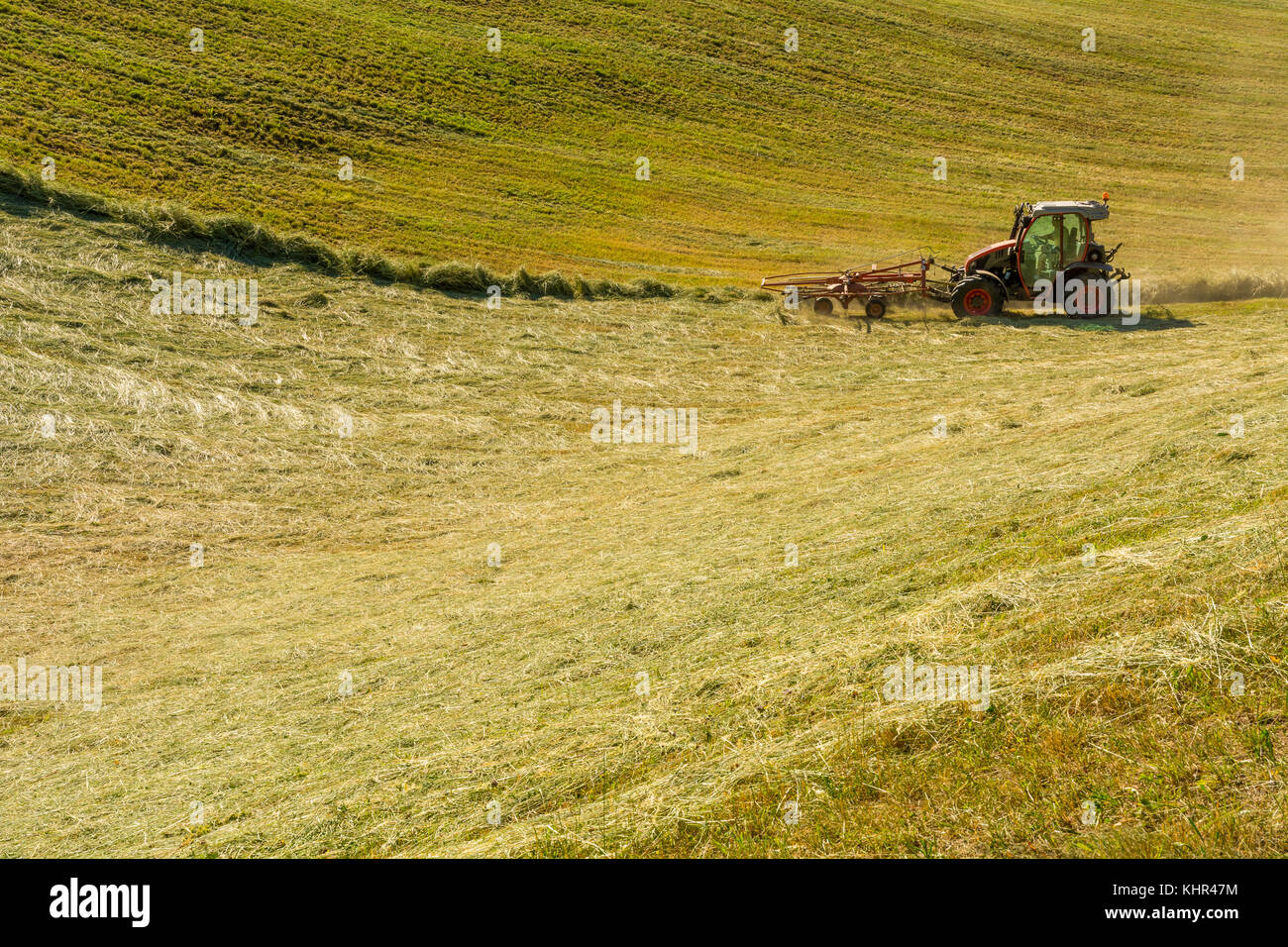 Haymaking on a hillside with rows of hay, a hay tedder and a hay-loader ...