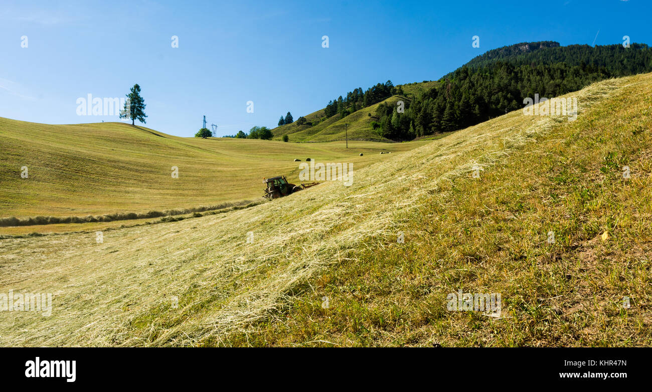 Haymaking on a hillside with rows of hay, a hay tedder and a hay-loader ...