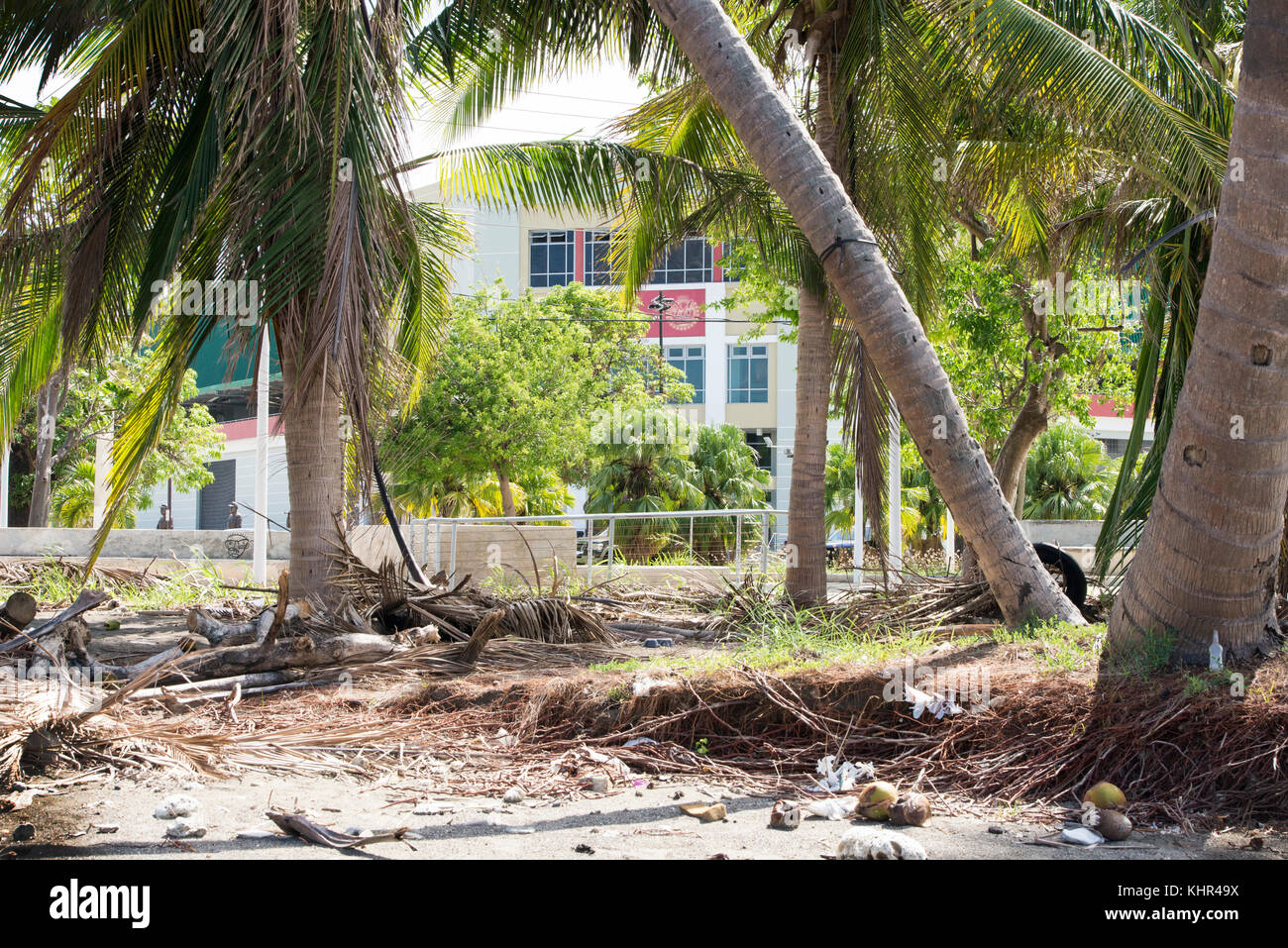 FEMA representatives provide emergency assistance to Puerto Rican ...