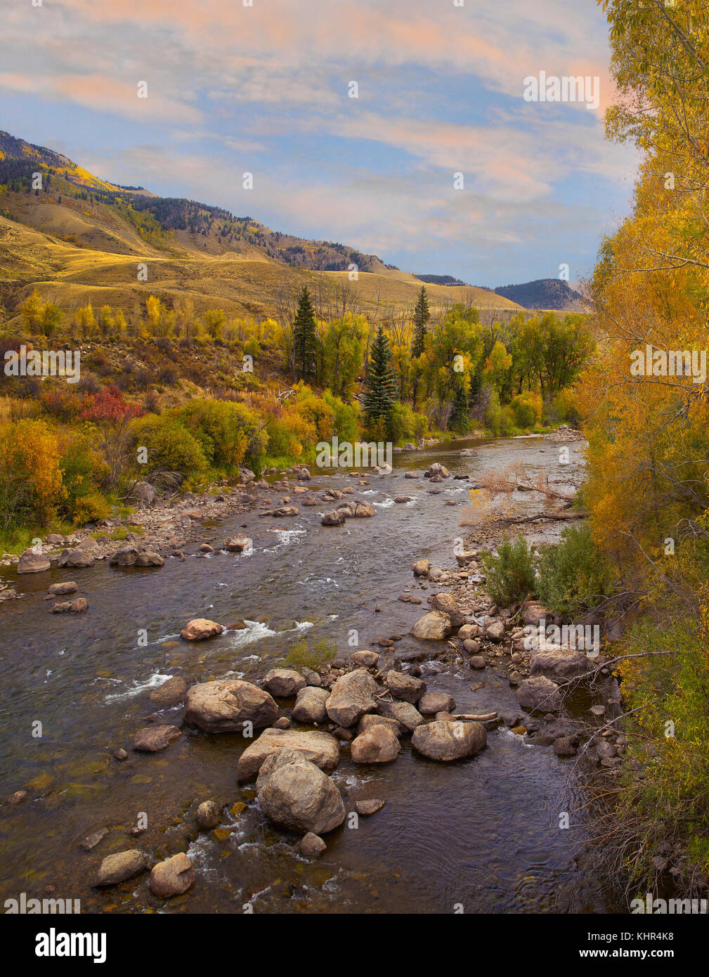 Trees along river in fall, Blue River, Colorado Stock Photo - Alamy