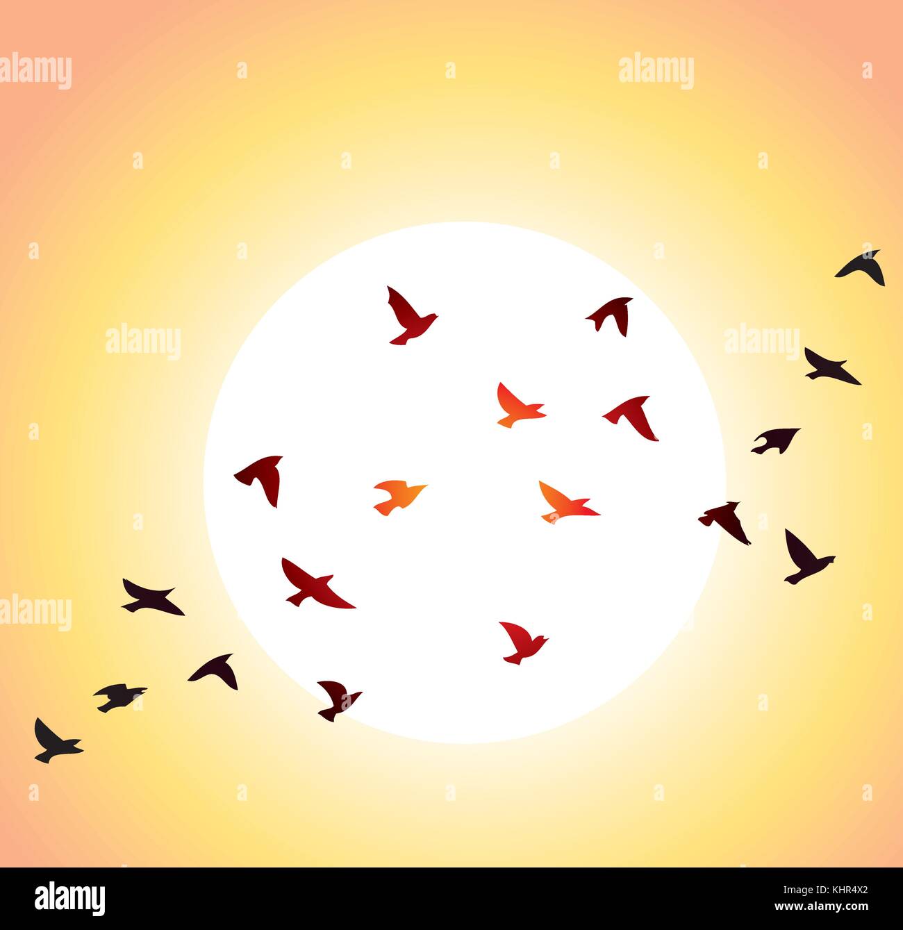 Birds sun vector hi-res stock photography and images - Alamy