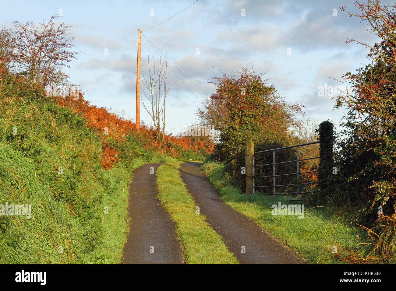 Irish country road Stock Photo - Alamy