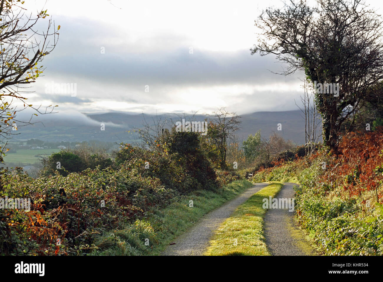 Irish country road hi-res stock photography and images - Alamy