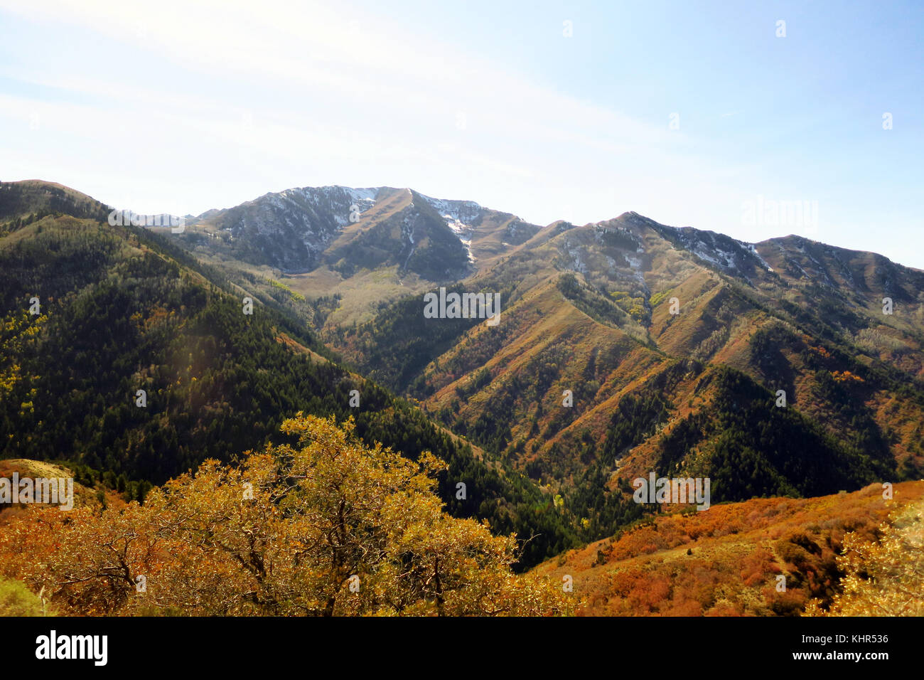 A Utah hillside covered with fall trees on a bright blue sky Stock ...