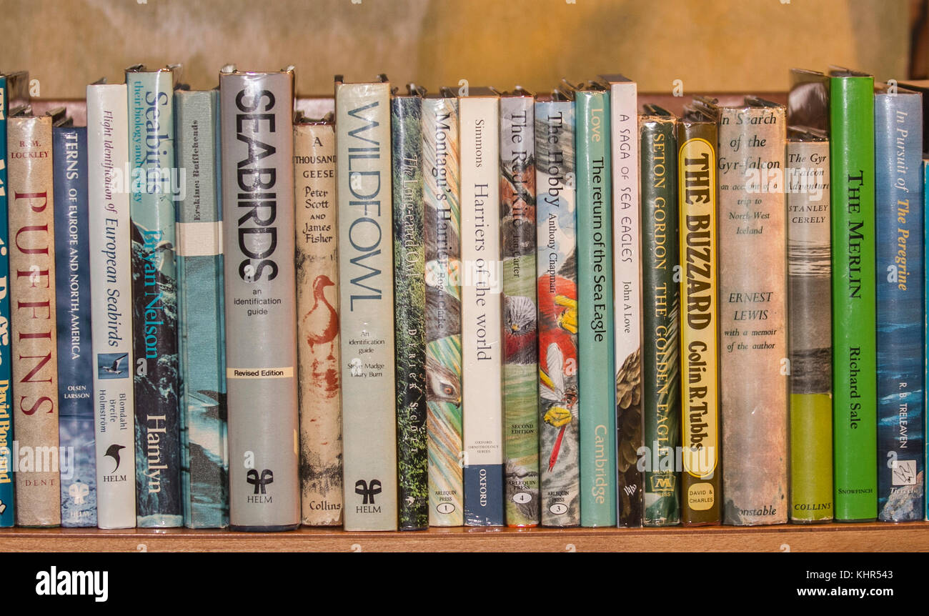 Book spines; Stacks of Bird books, shelf, book, education, library ...