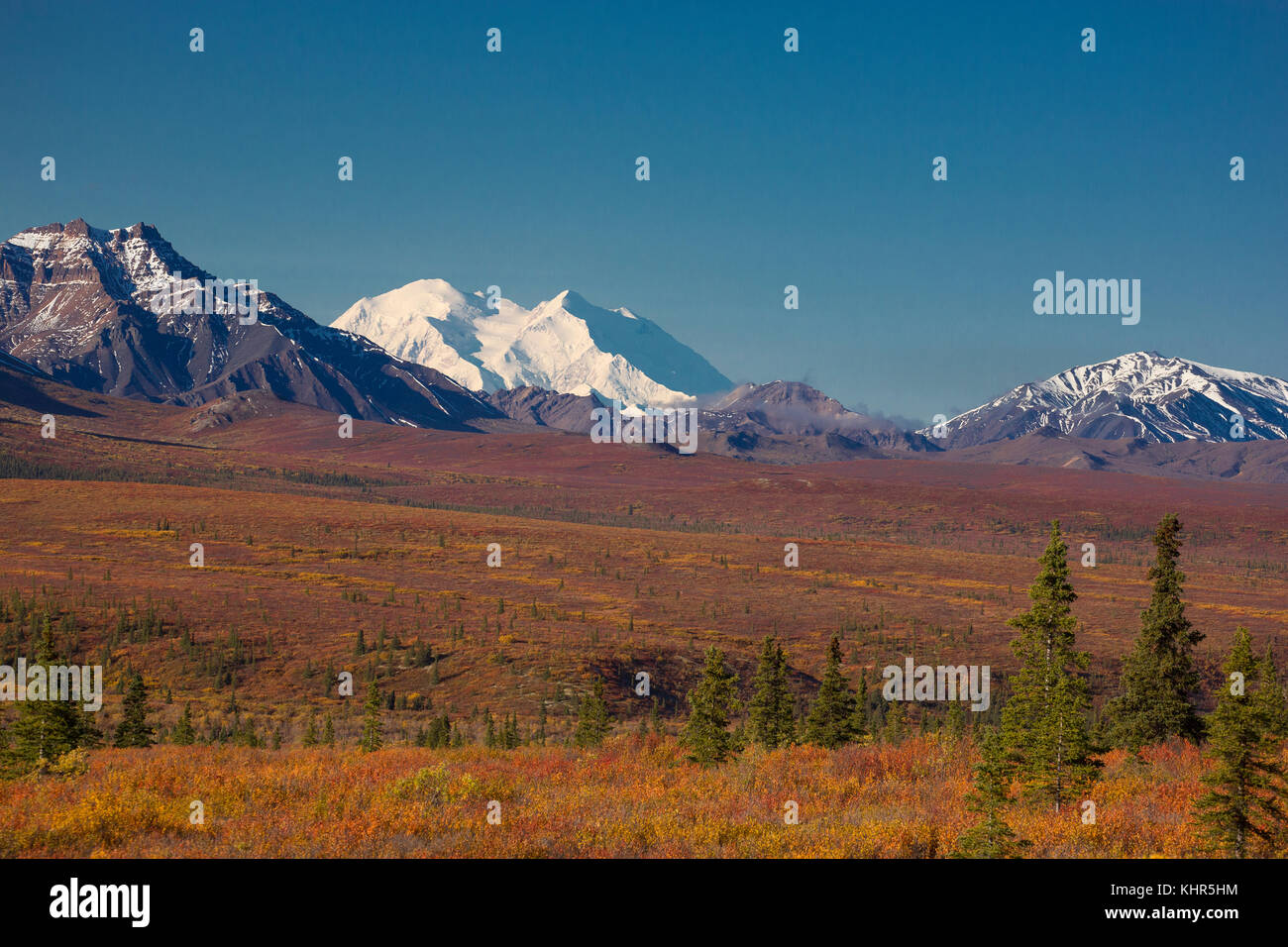 Mount Denali and tundra in autumn, Denali National Park, Alaska Stock ...