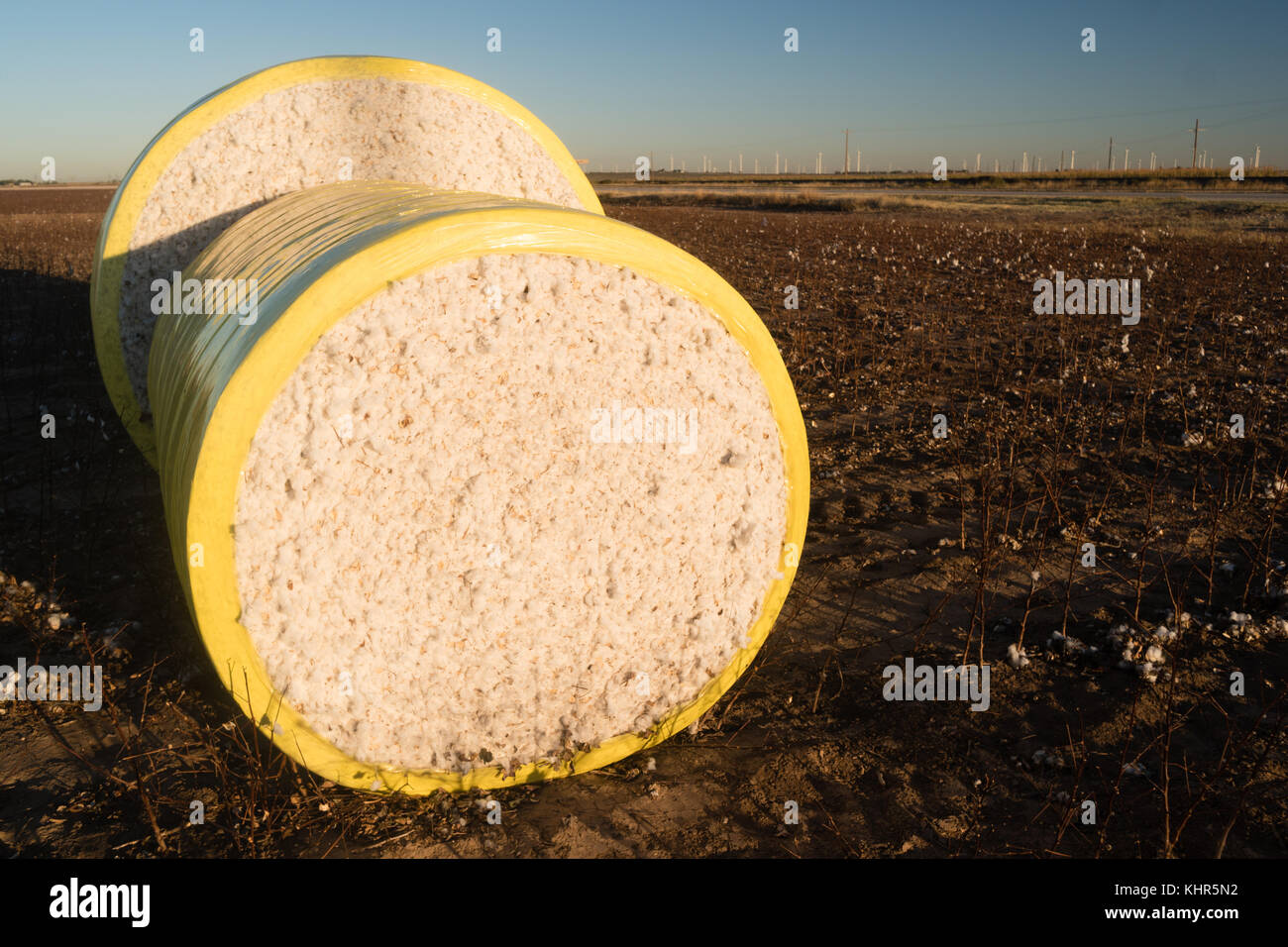 Tarp Covers Fresh Cotton Harvest Farm Field Agriculture Stock Photo - Alamy