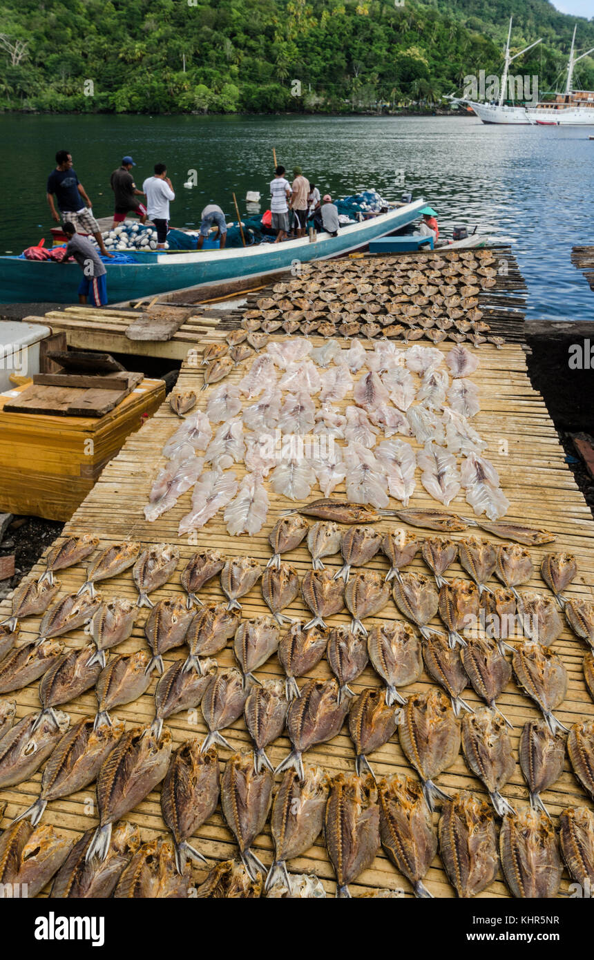 Drying fish in fish market, Banda Islands, Banda Sea, Indonesia Stock ...