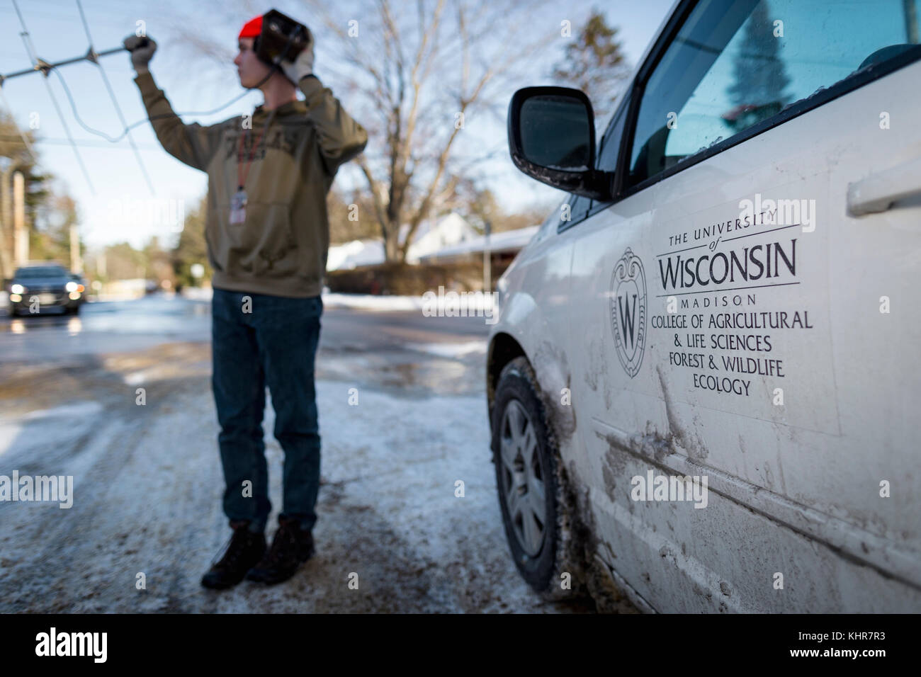 Coyote (Canis latrans) biologist, Steven Plesh, tracking radio-collared ...