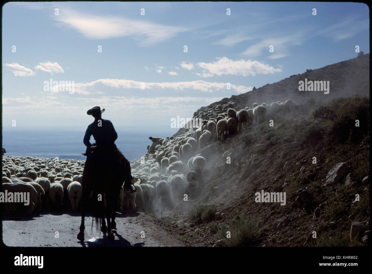 Cowboy vintage hi-res stock photography and images - Alamy