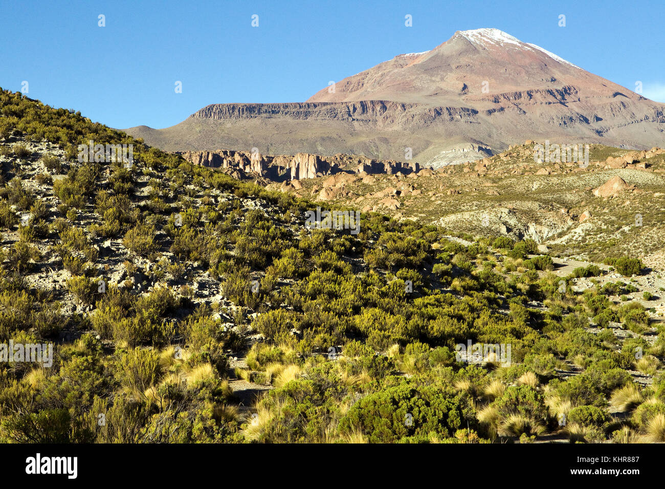 Dry puna, Abra Granada, Andes, northwestern Argentina Stock Photo - Alamy