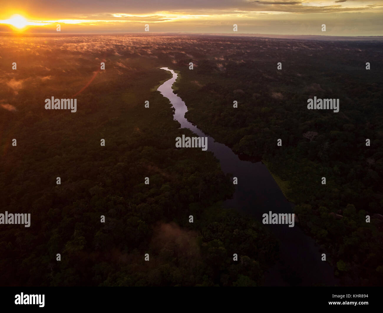 Sunset over rainforest, Amazon, Yasuni National Park, Ecuador Stock ...