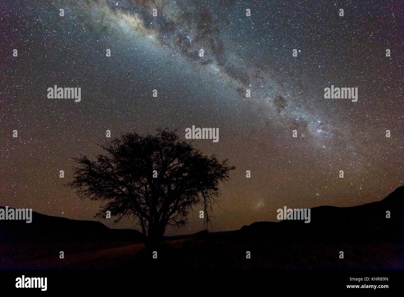 Milky Way over tree, Namib Desert, Namibia Stock Photo - Alamy