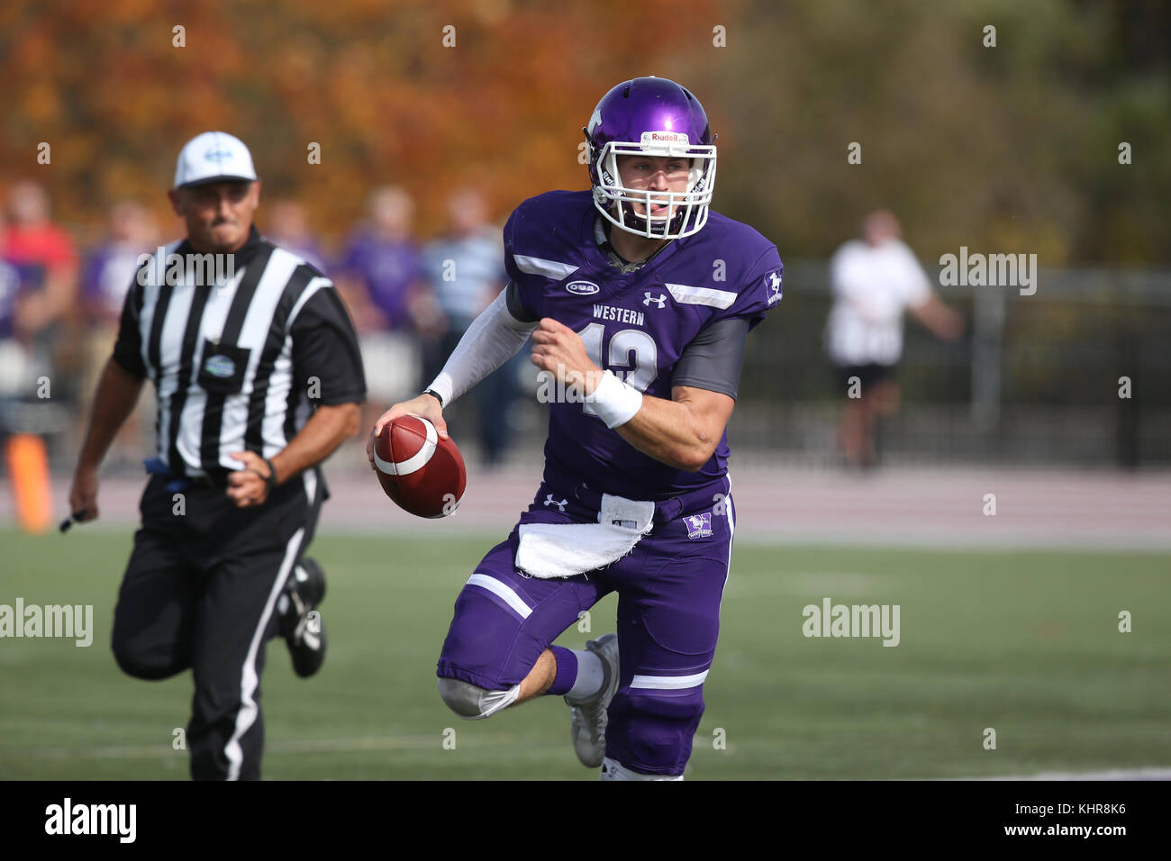 Western Mustangs # 12 Chris Merchant Stock Photo - Alamy