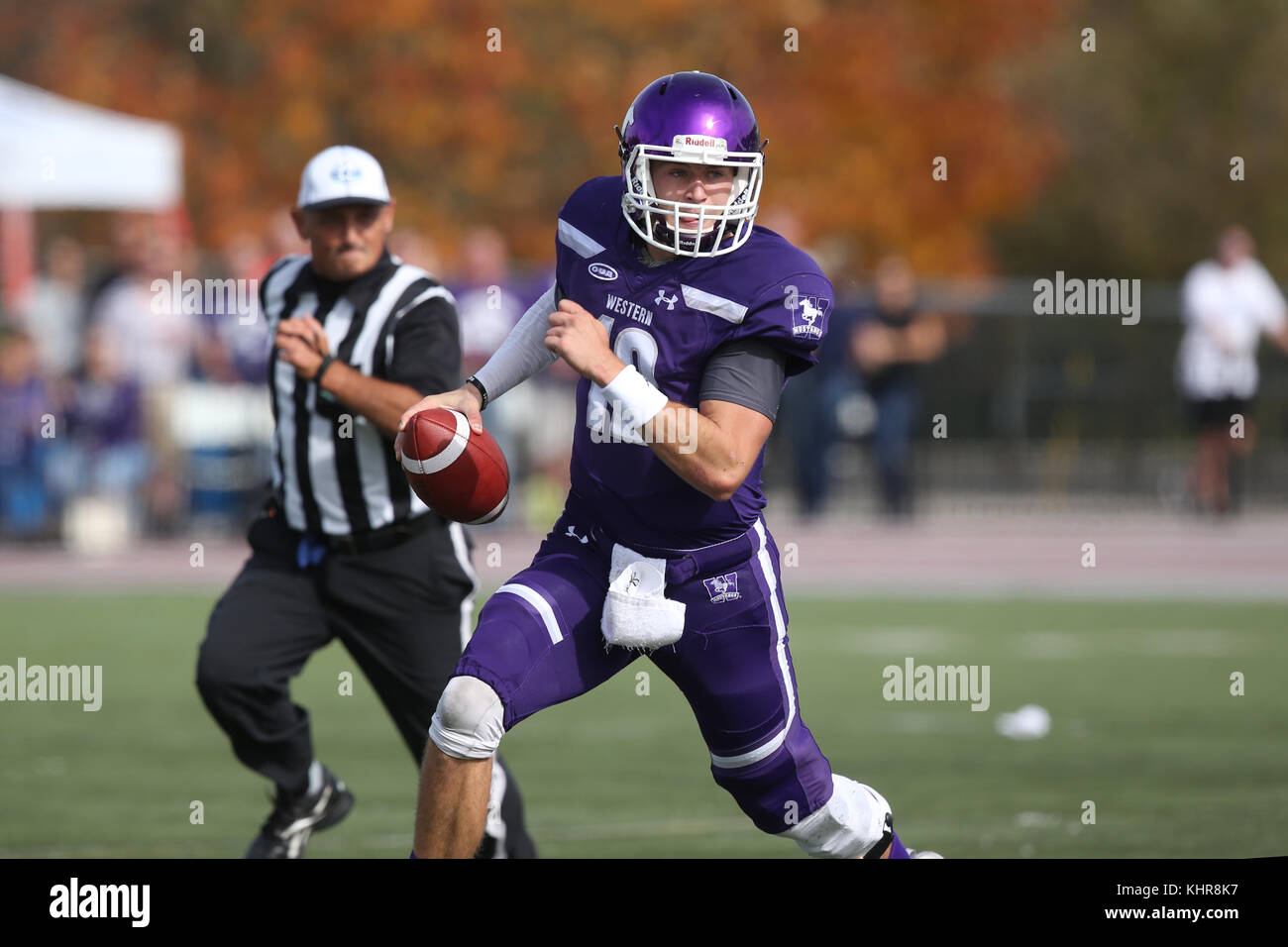 Western Mustangs # 12 Chris Merchant Stock Photo - Alamy