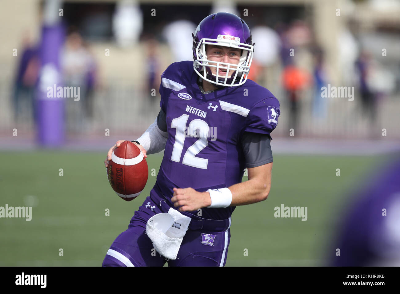 Western Mustangs # 12 Chris Merchant Stock Photo - Alamy