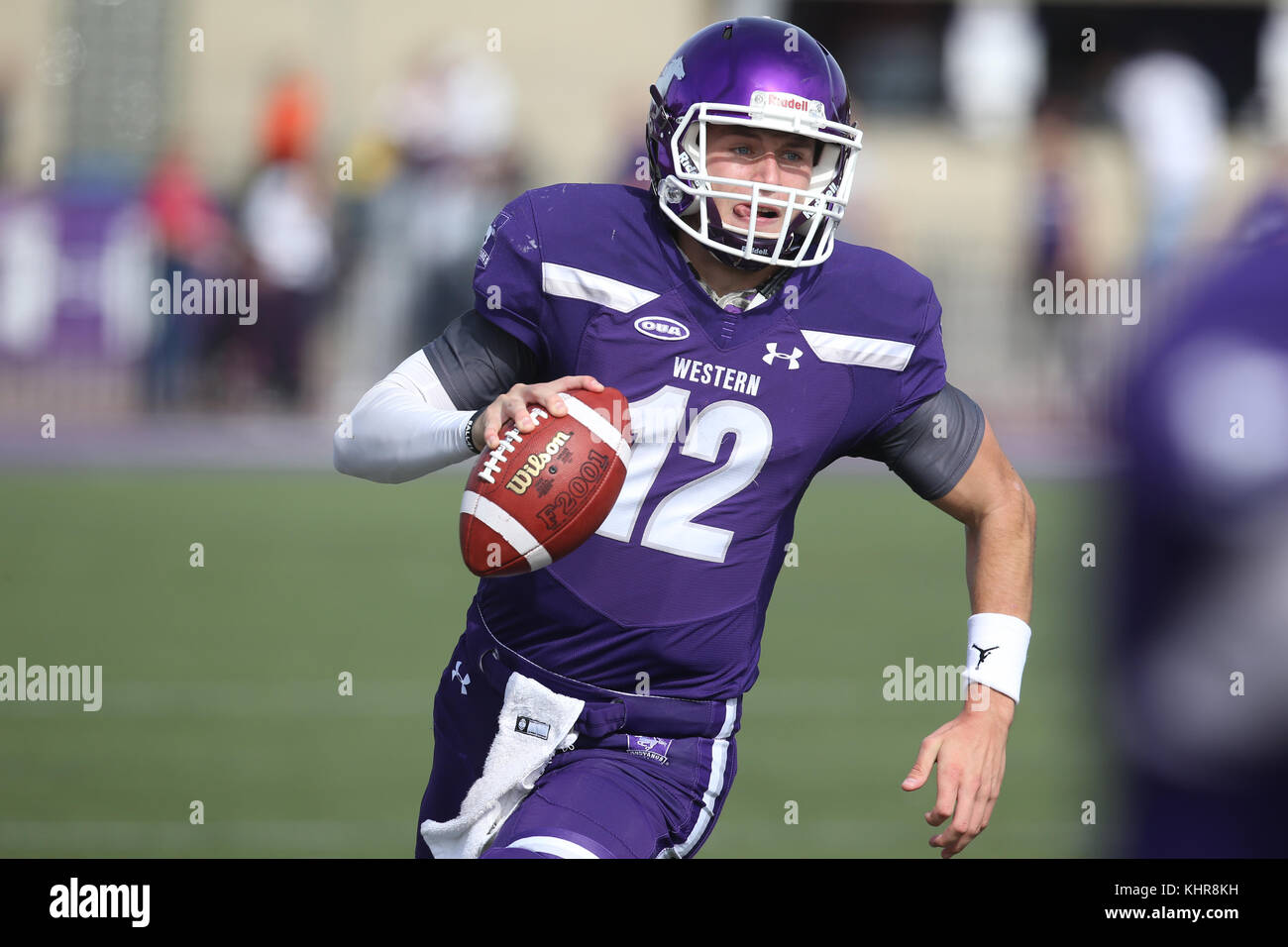 Western Mustangs # 12 Chris Merchant Stock Photo - Alamy