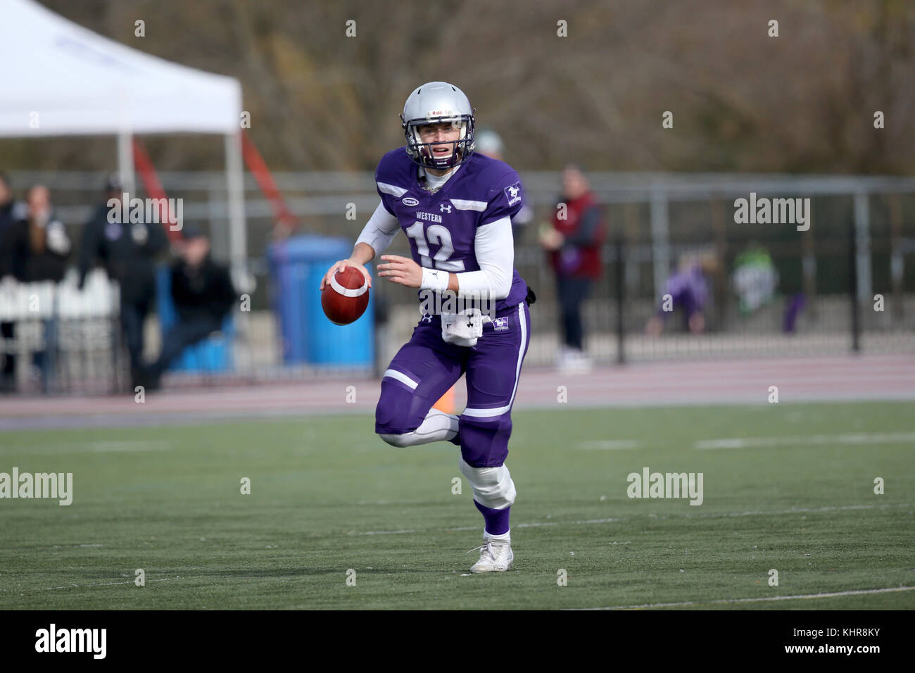 Western Mustangs # 12 Chris Merchant Stock Photo - Alamy