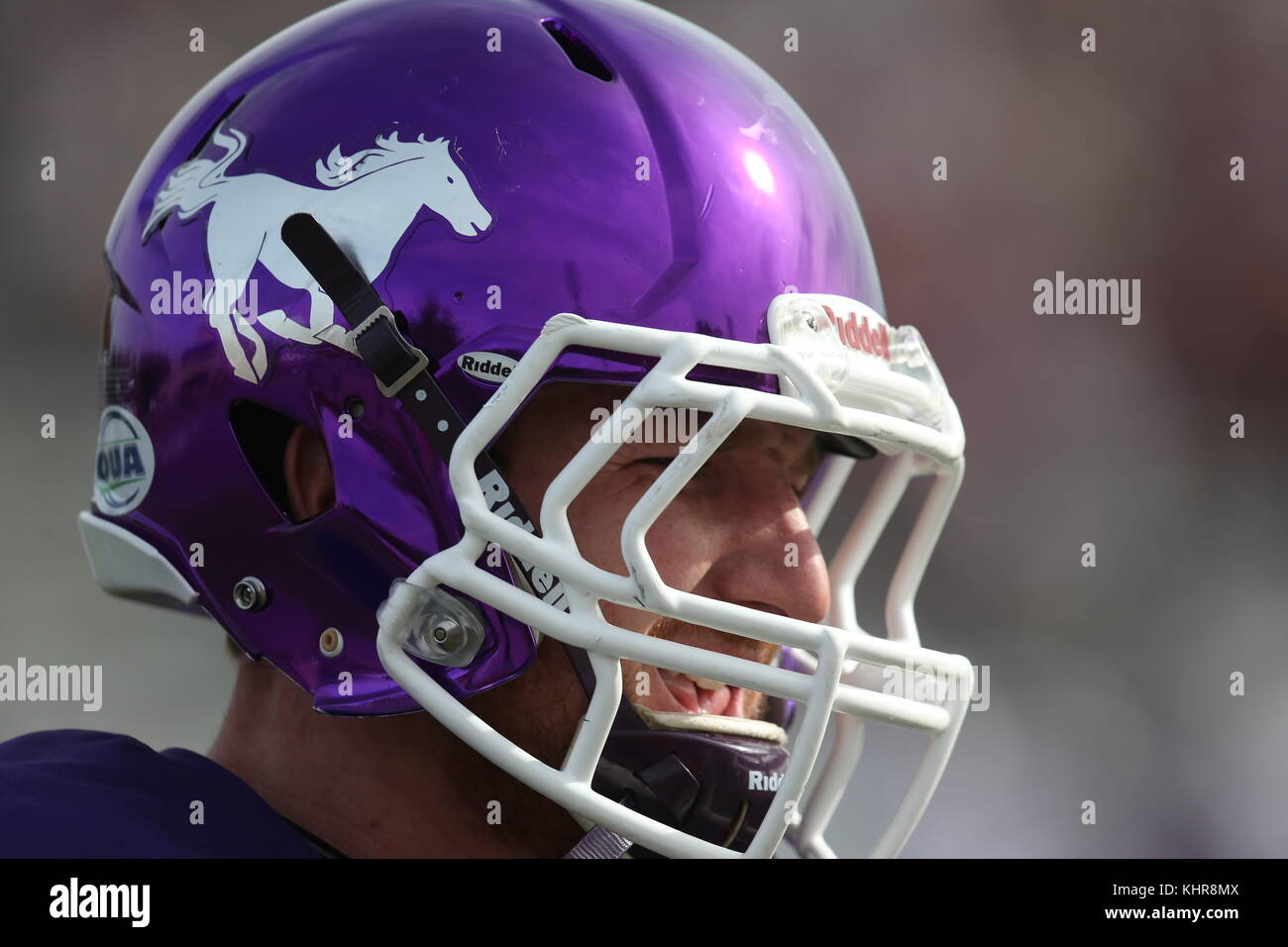 Western Mustangs # 19 Harry McMaster Stock Photo - Alamy