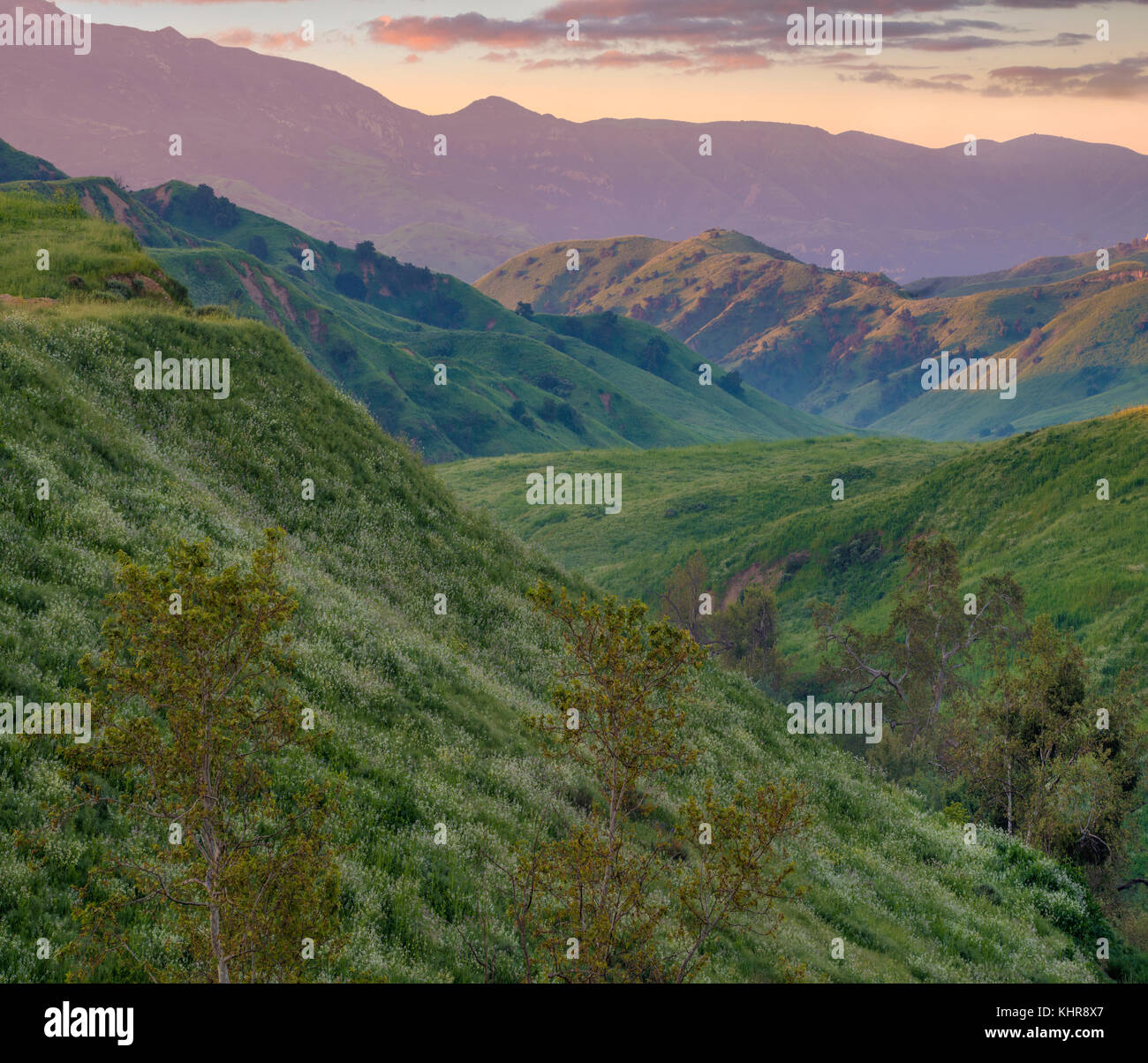 Hills in spring, Chino Hills State Park, California Stock Photo - Alamy