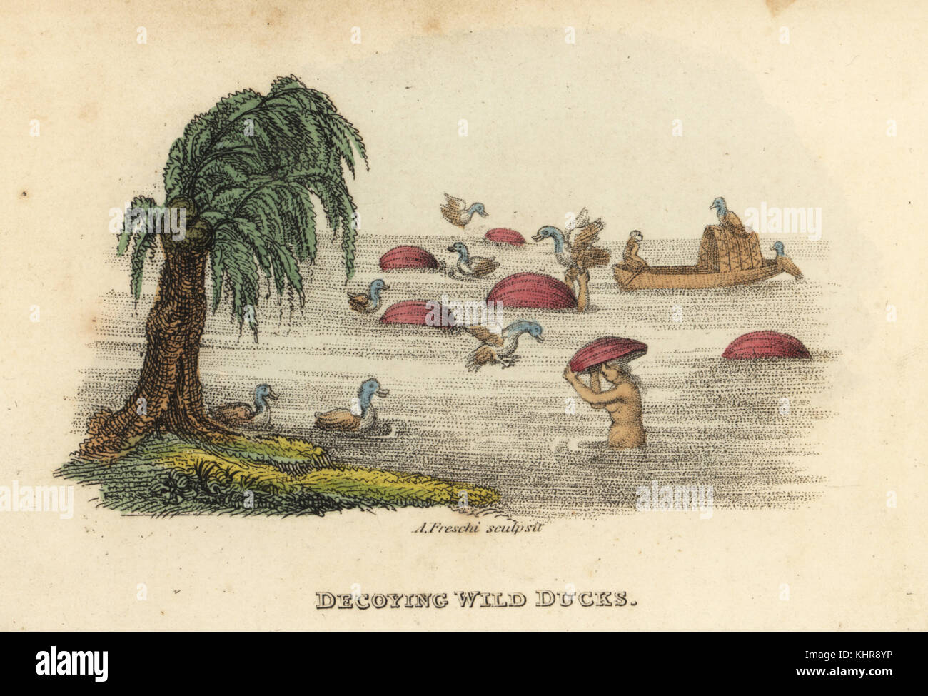 Chinese men hunting wild ducks with decoy gourd hats in the river, Qing ...