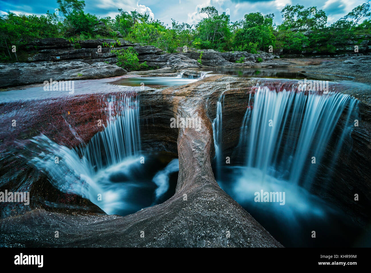 Riverweed (Macarenia clavigera) in river with waterfall, Cano Cristales ...