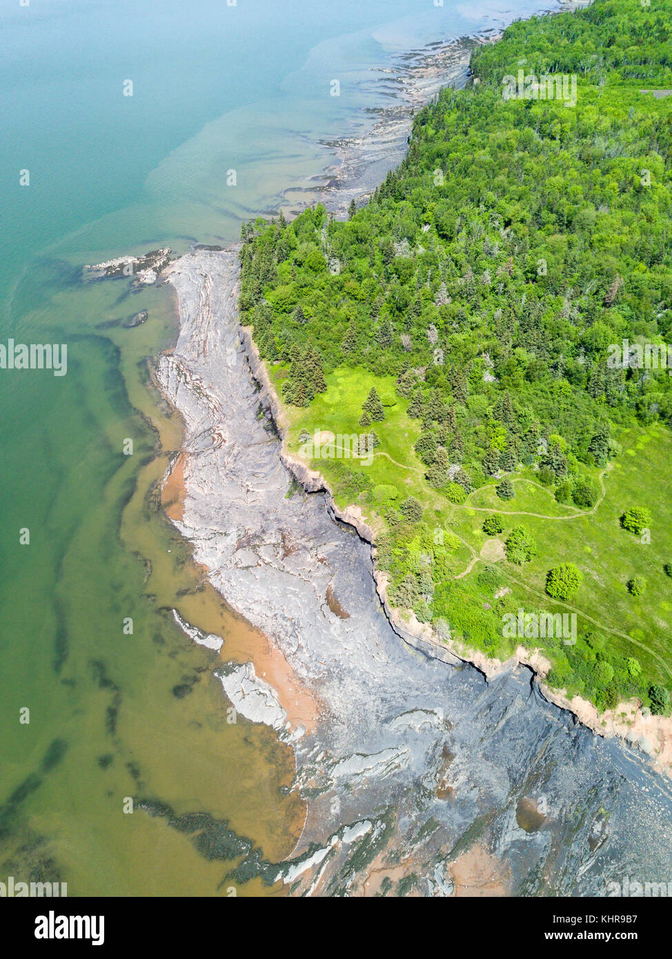 Shale rock coastline along Minas Basin, Bay of Fundy, Nova Scotia ...