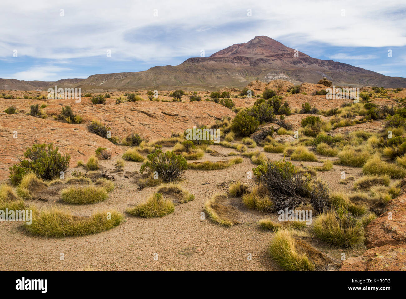 Dry puna, Abra Granada, Andes, northwestern Argentina Stock Photo - Alamy