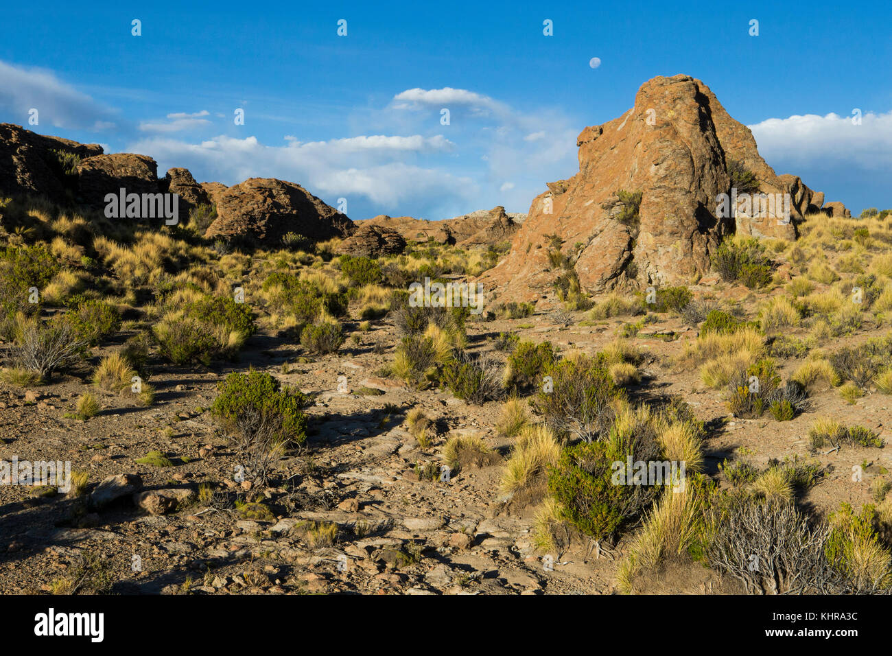 Moon over dry puna, Abra Granada, Andes, northwestern Argentina Stock ...