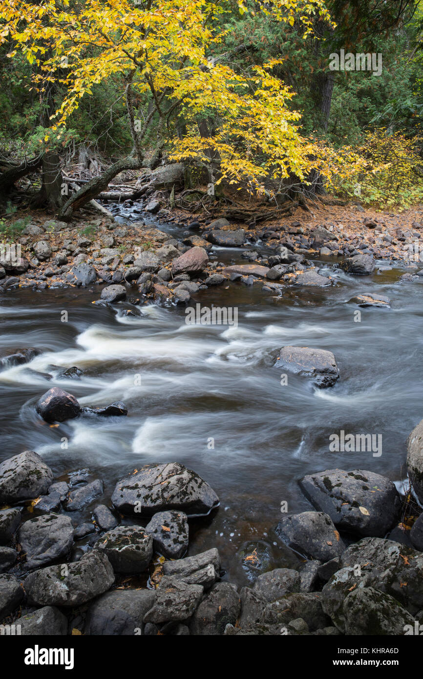 Tree along river in autumn, Manitou River, George H. Crosby Manitou ...