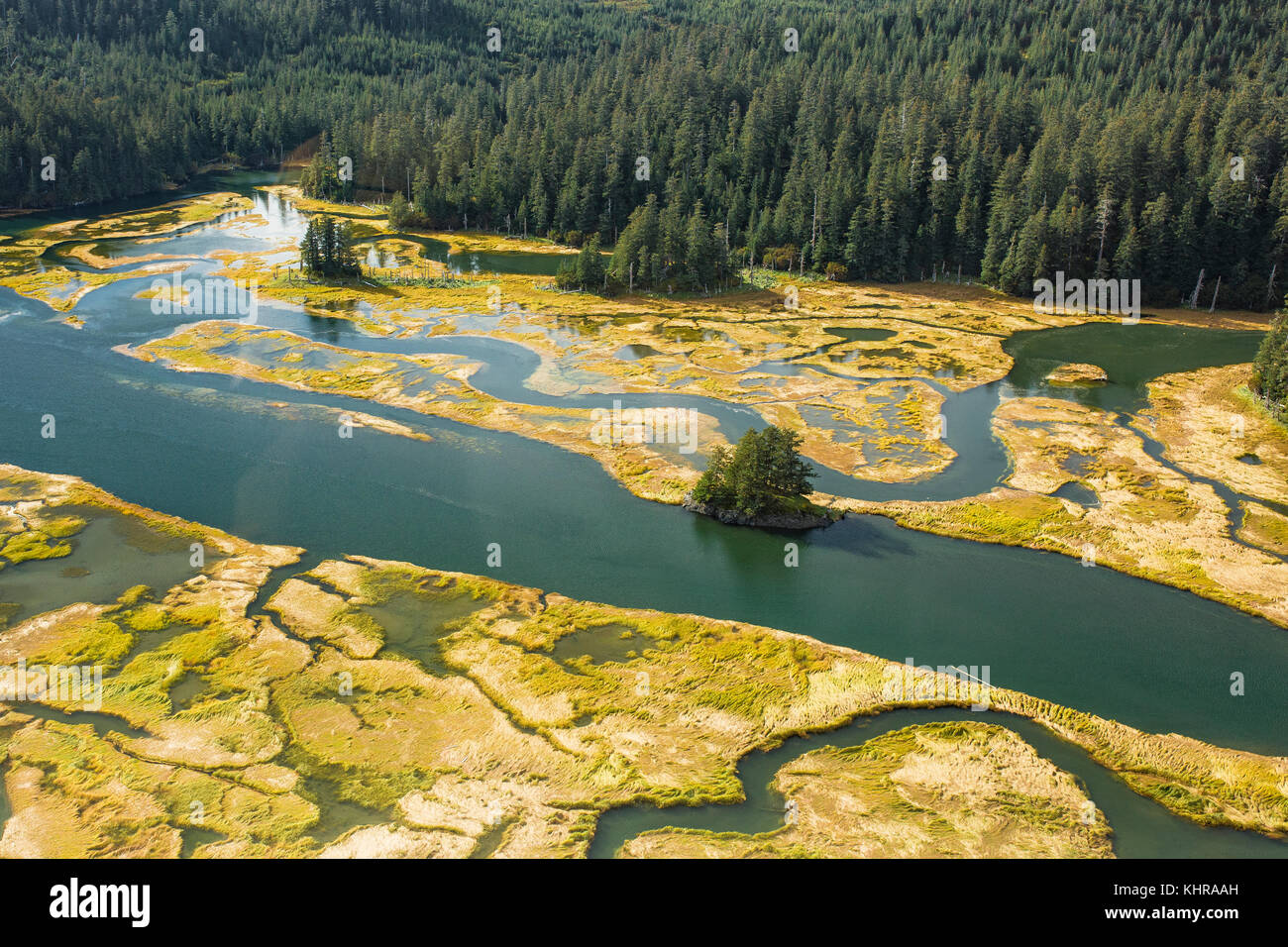 Tributary channels leading into Rocky River, Rocky Bay, Kenai Peninsula ...