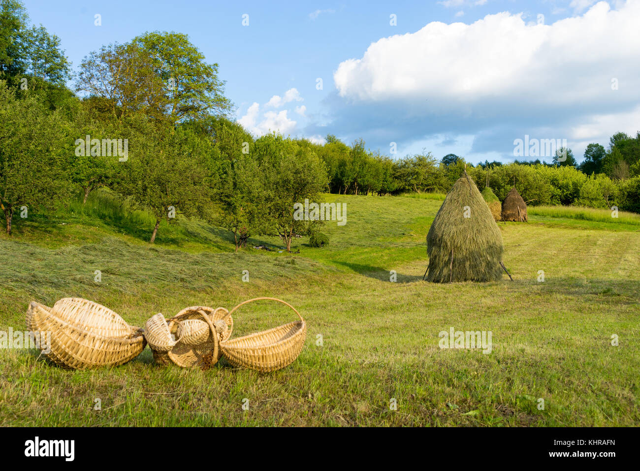 This scene is in the Carpathian Mountains in Maramures County in ...