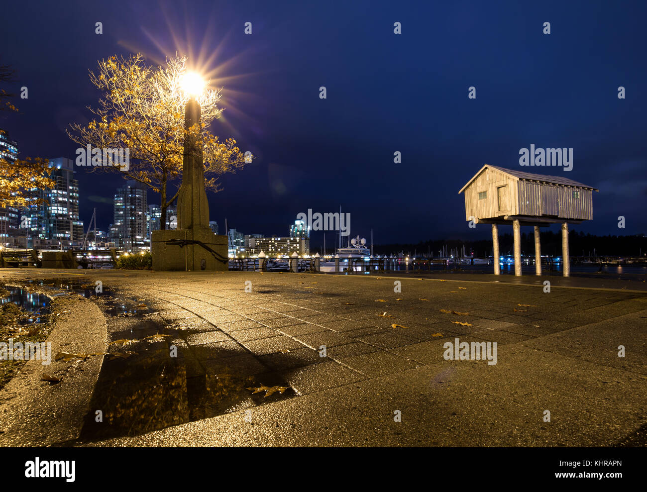Night scene in public park of Downtown Vancouver, BC, Canada Stock ...