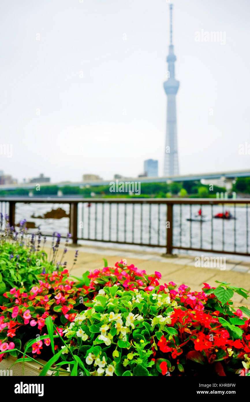 View of the flowers with Tokyo skyline in the background Stock Photo ...