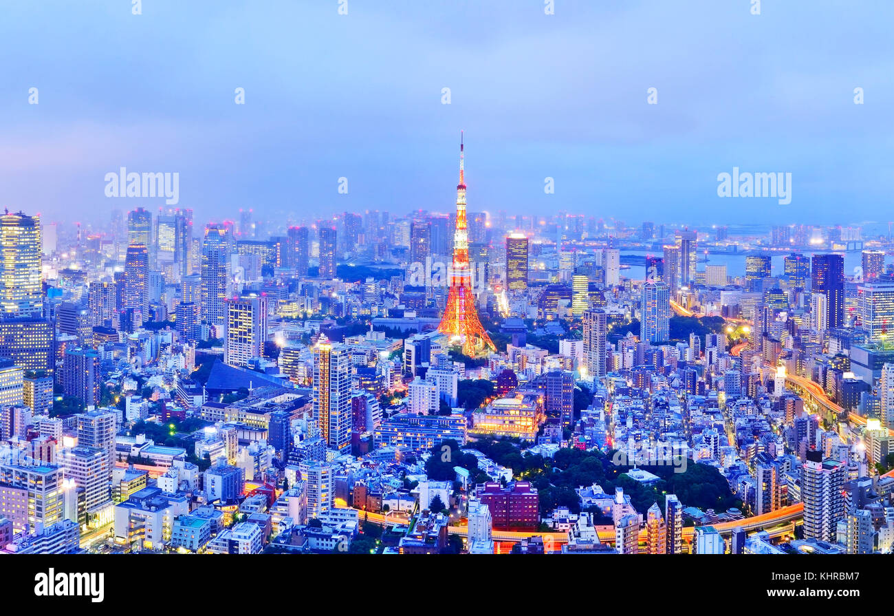 View of the Tokyo skyline at night Stock Photo - Alamy