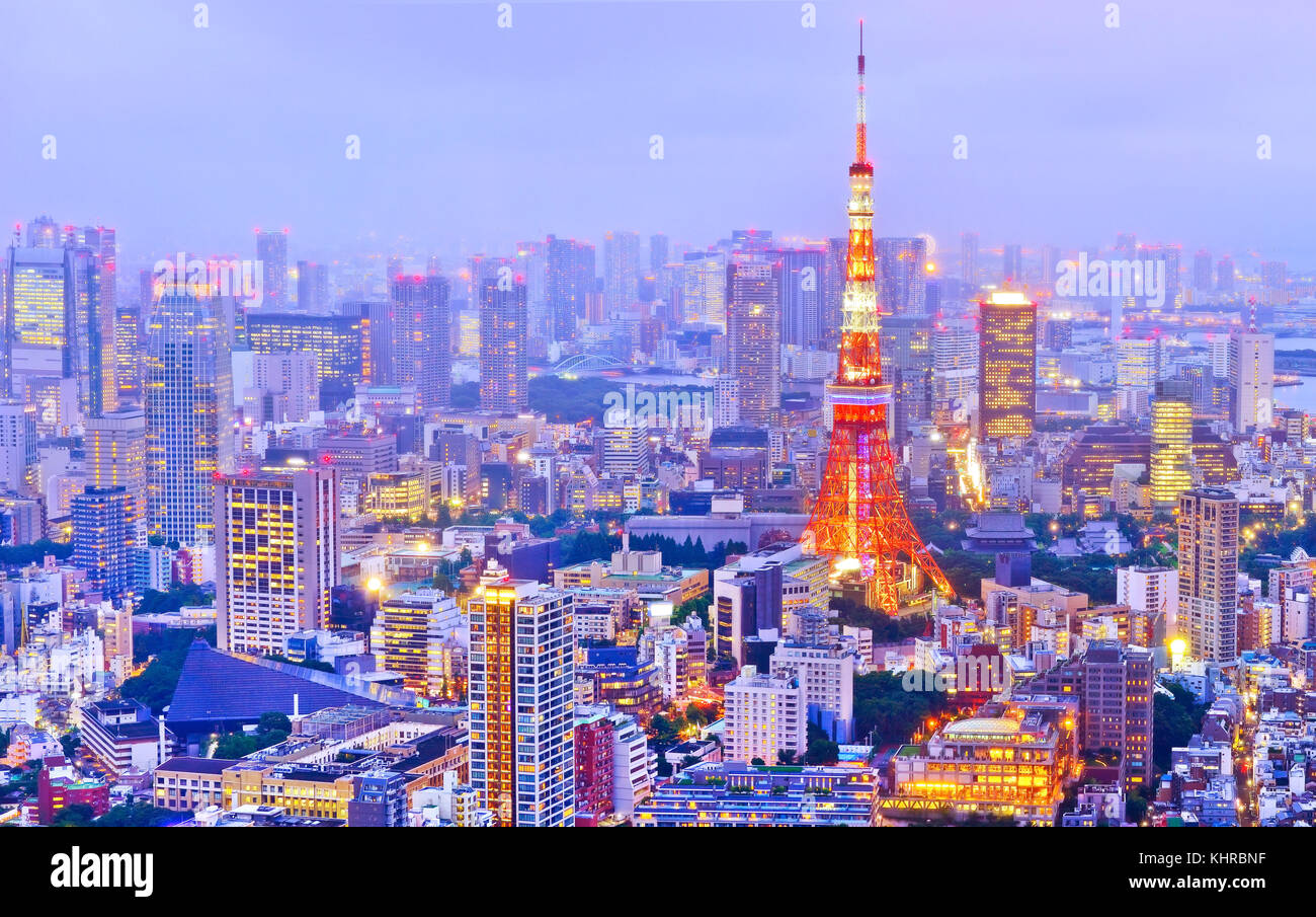 View of the Tokyo skyline at night Stock Photo - Alamy