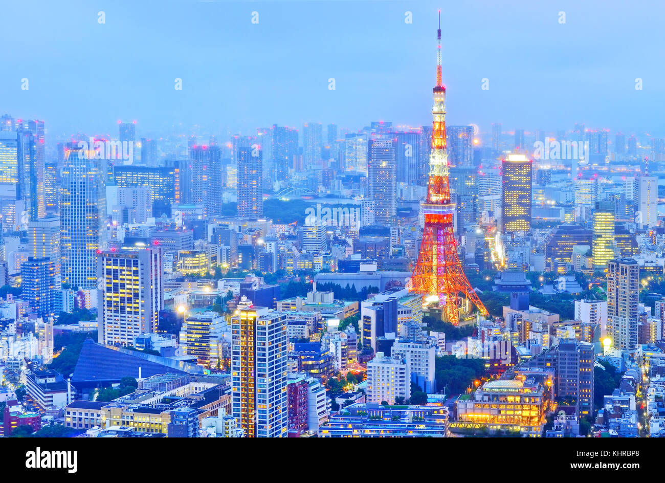 View of the Tokyo skyline at night Stock Photo - Alamy