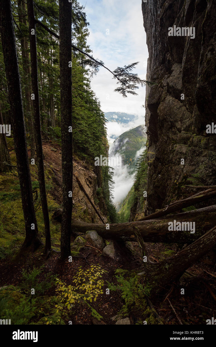 Cliff view in a crack of a mountain on a trail up to Chief Peak. Taken ...