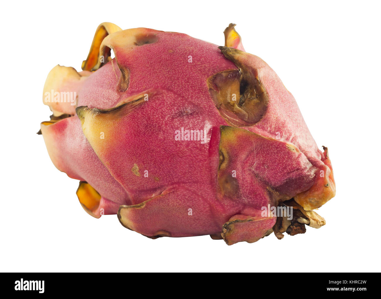 Close up Dragon fruit not fresh on white background Stock Photo - Alamy