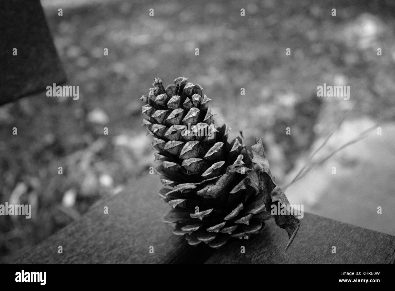 Double bench Black and White Stock Photos & Images - Alamy