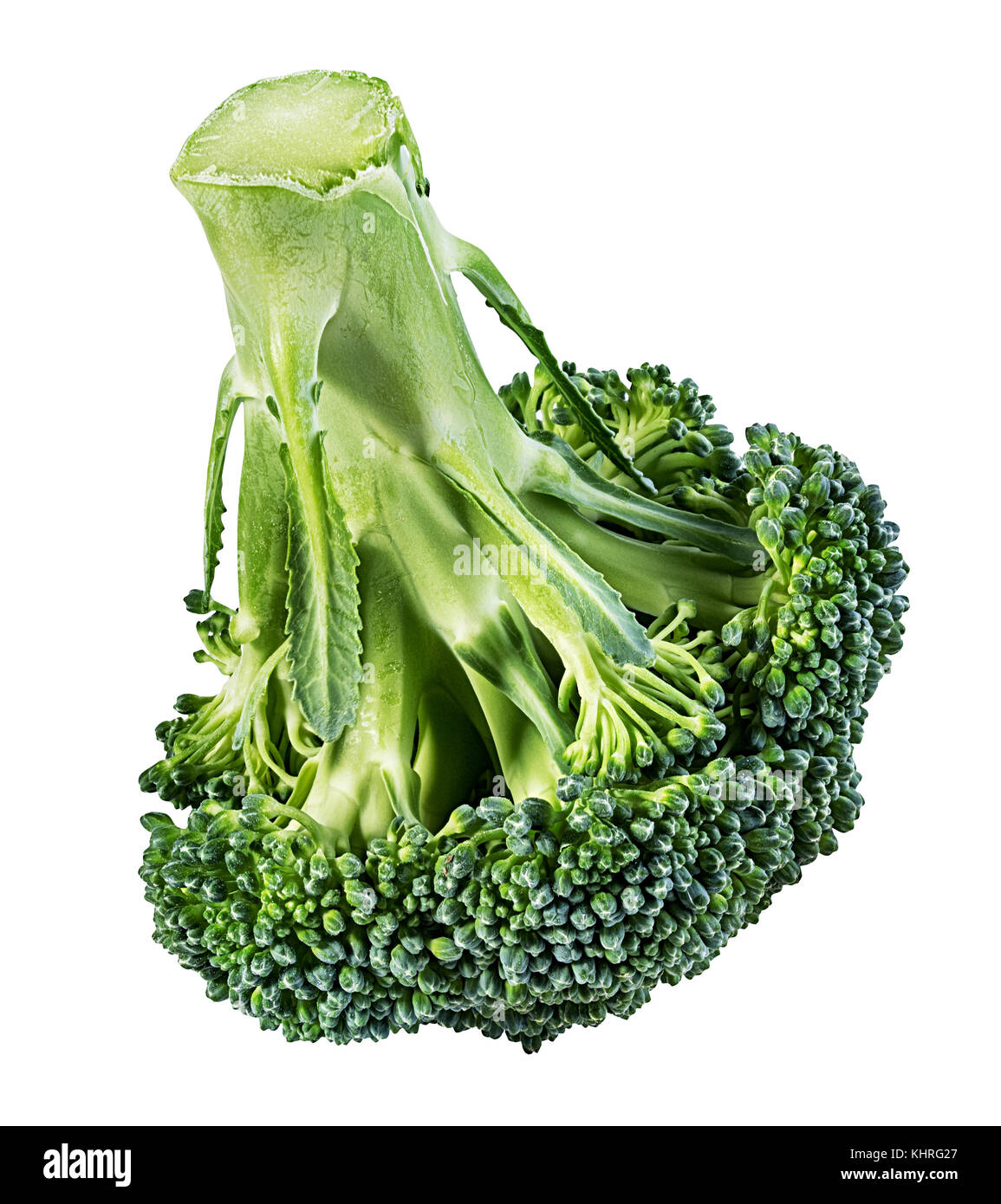 Broccoli isolated on white background Stock Photo - Alamy