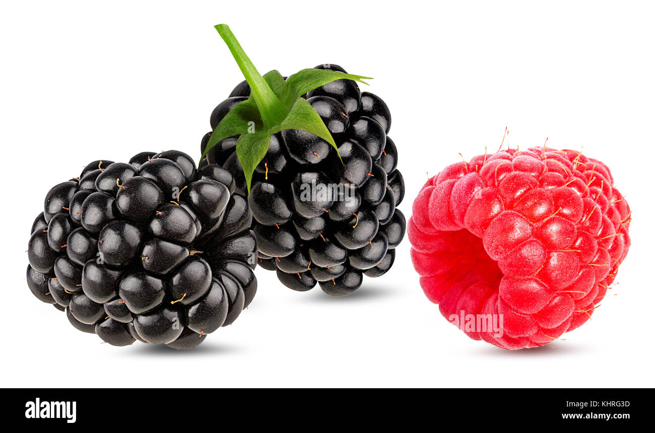 Blackberry and raspberry isolated on white background Stock Photo - Alamy