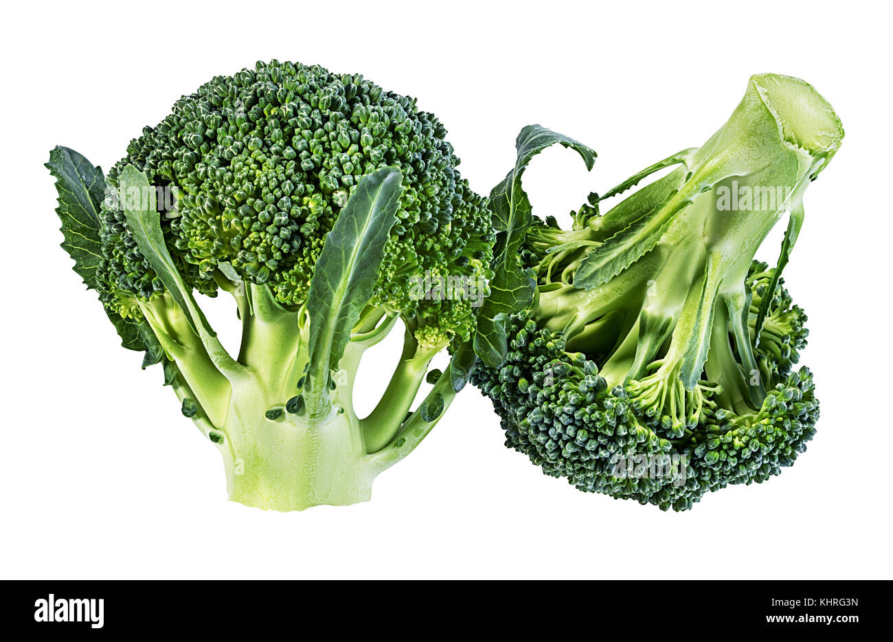 Broccoli isolated on white background Stock Photo - Alamy