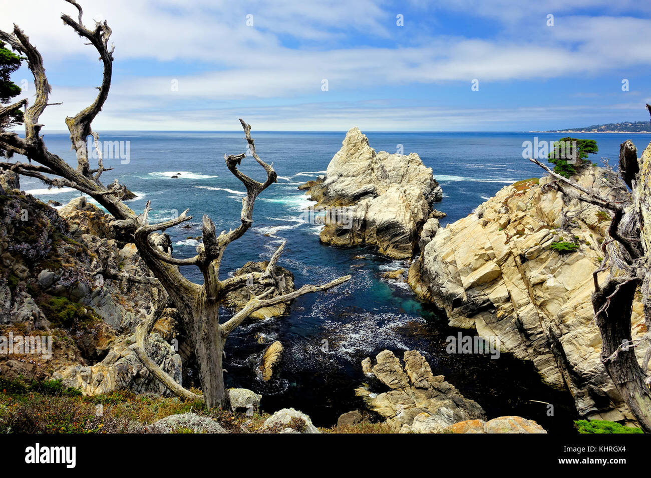 Point Lobos, California seascape Stock Photo - Alamy