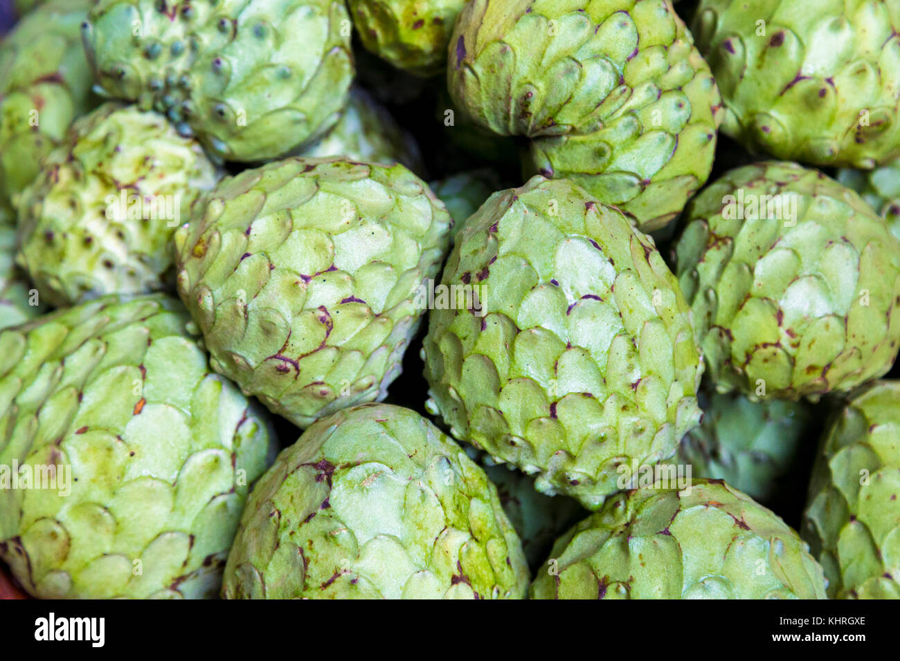 Anona Stock Photos & Anona Stock Images - Alamy