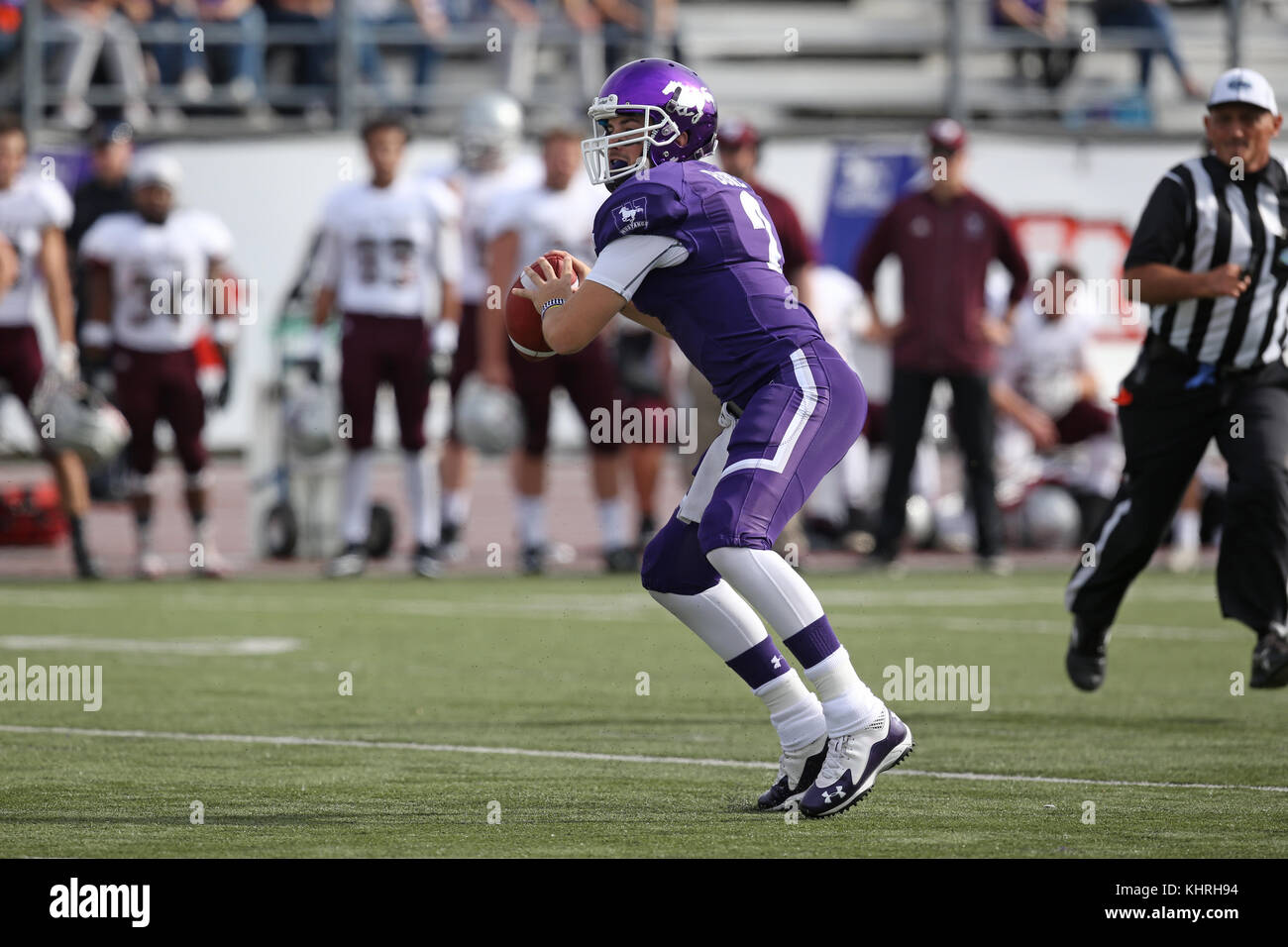 Stevenson bone hi-res stock photography and images - Alamy