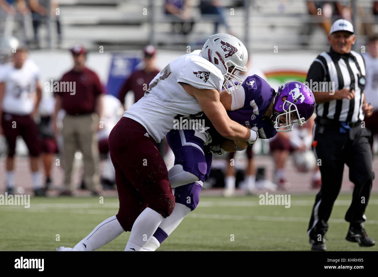 Western Mustangs # 02 Stevenson Bone Stock Photo - Alamy