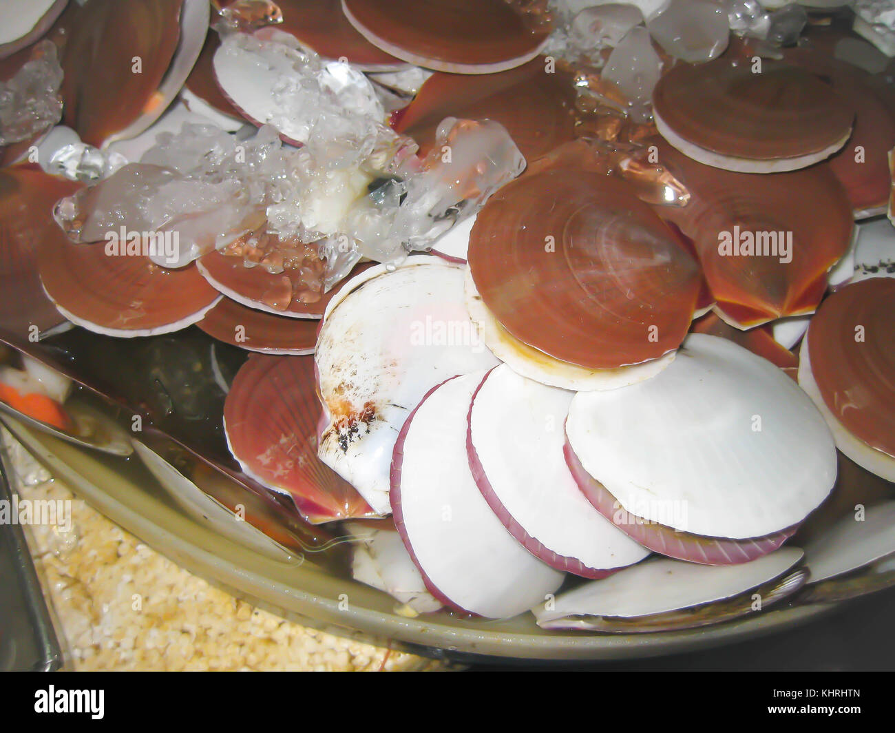 shell, raw scallop or raw shell Stock Photo - Alamy